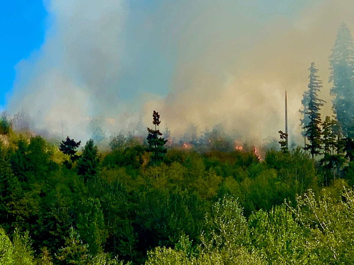 Staying Safe in a Threatening Wildfire Season – American Red Cross NW ...
