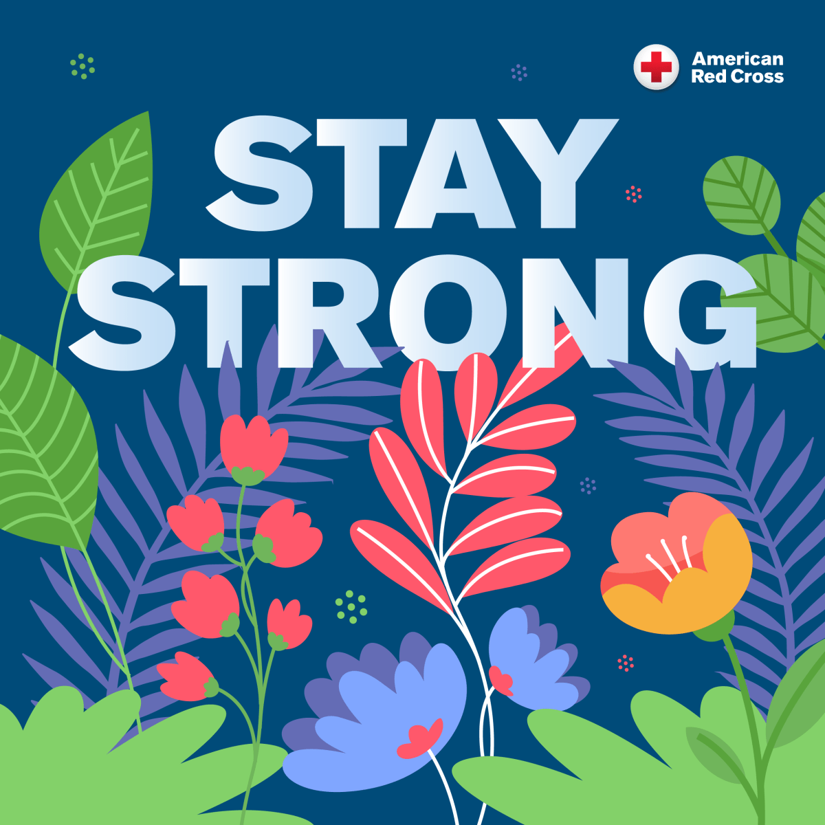 The Mental Health Corner Brings Practical Tips to Red Cross Volunteers ...